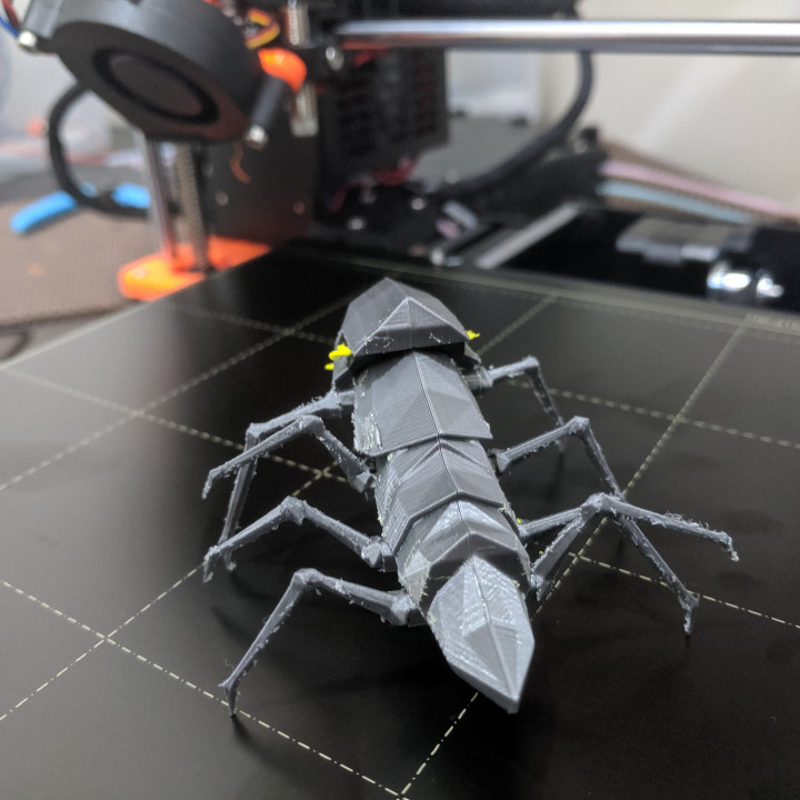 3D Printable Scrib Morrowind Multimaterial by Ellswor