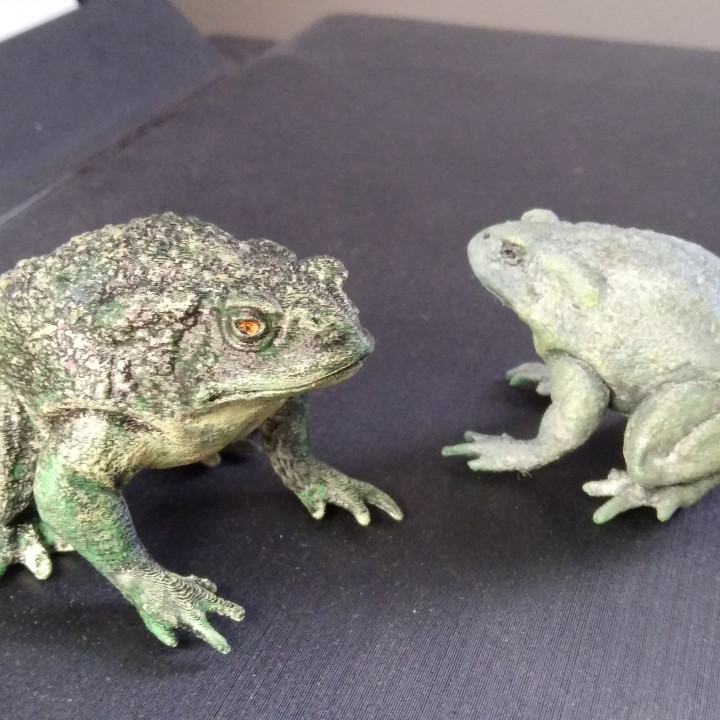 3D Print of Realistic Toad by justingreiner