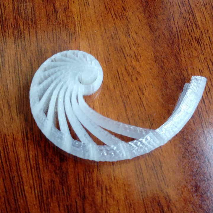 3D Printable Nautilus shell by Justin Lin