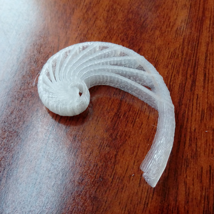 3D Printable Nautilus shell by Justin Lin