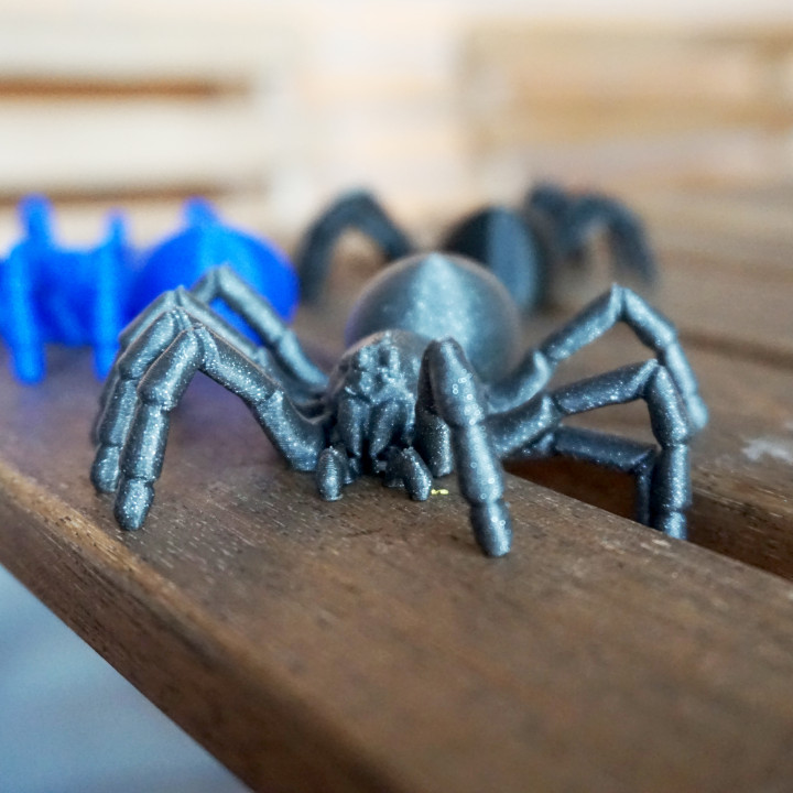 3D Printable Articulated Tarantula by McGybeer