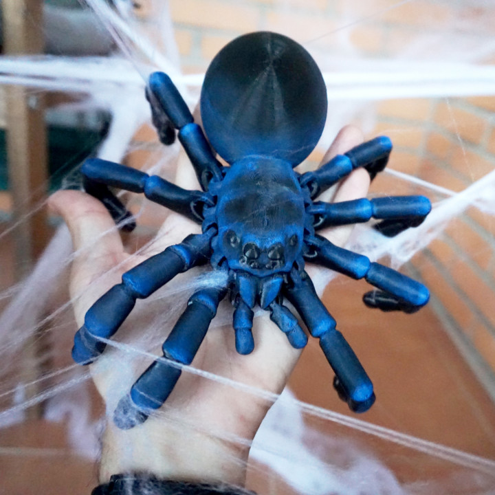 3D Printable Articulated Tarantula by McGybeer