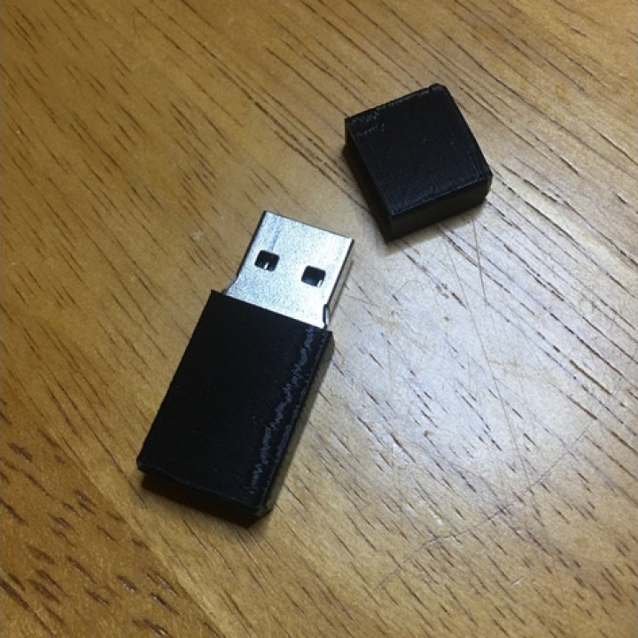 3D Printable Flash Drive Case by Austin Triggs