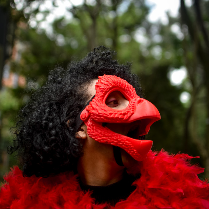 3D Printable Birds Masks - Moving Jaw by Jose David Cifuentes Ulloa