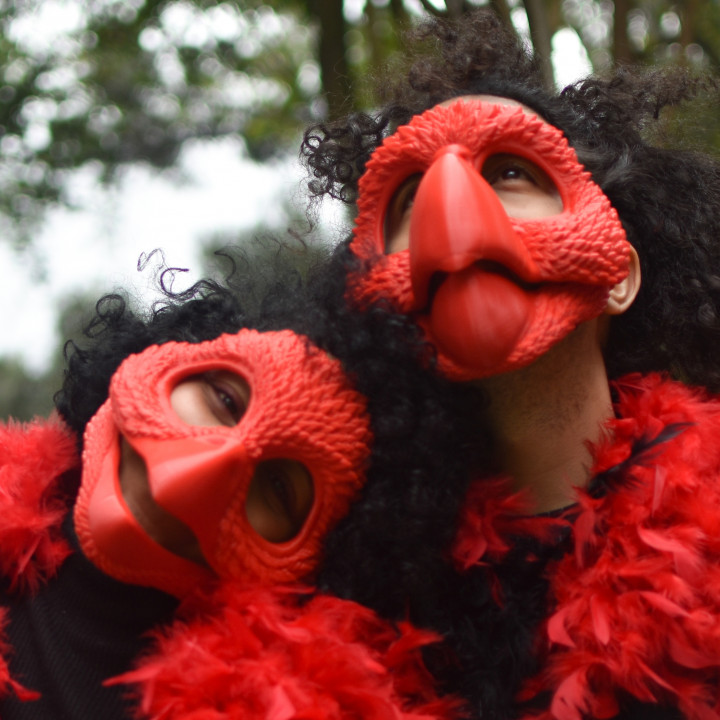 3D Printable Birds Masks - Moving Jaw by Jose David Cifuentes Ulloa
