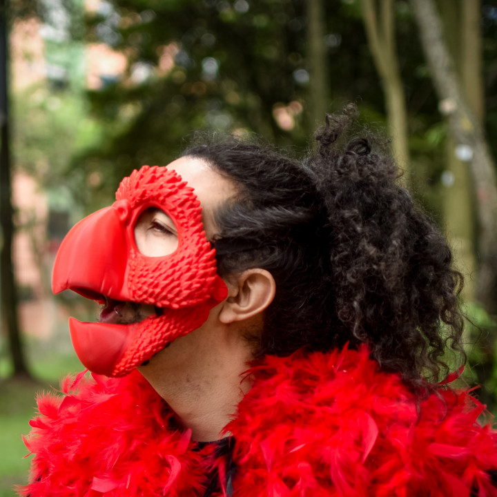 3D Printable Birds Masks - Moving Jaw by Jose David Cifuentes Ulloa