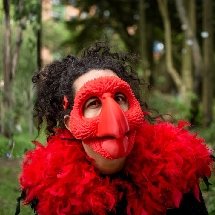 3D Printable Birds Masks - Moving Jaw by Jose David Cifuentes Ulloa