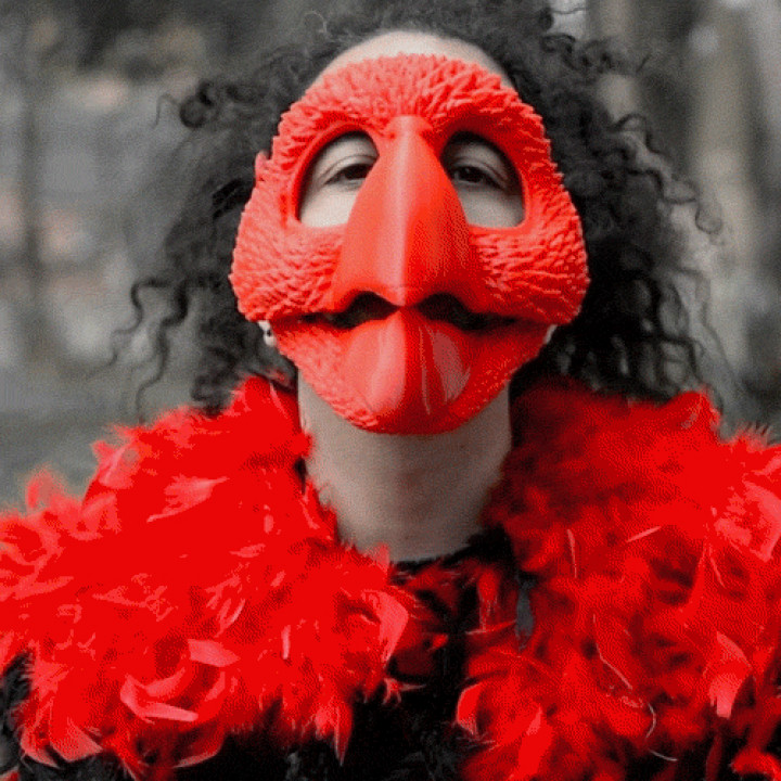 3D Printable Birds Masks - Moving Jaw by Jose David Cifuentes Ulloa