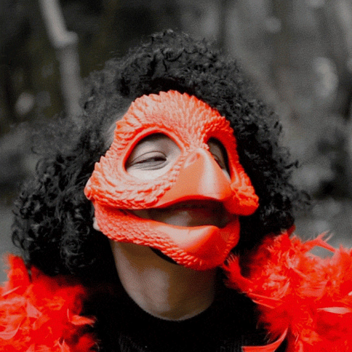 3D Printable Birds Masks - Moving Jaw by Jose David Cifuentes Ulloa