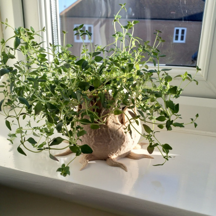 3D Printable Alien Flower Pot by BlueBoxGoblin