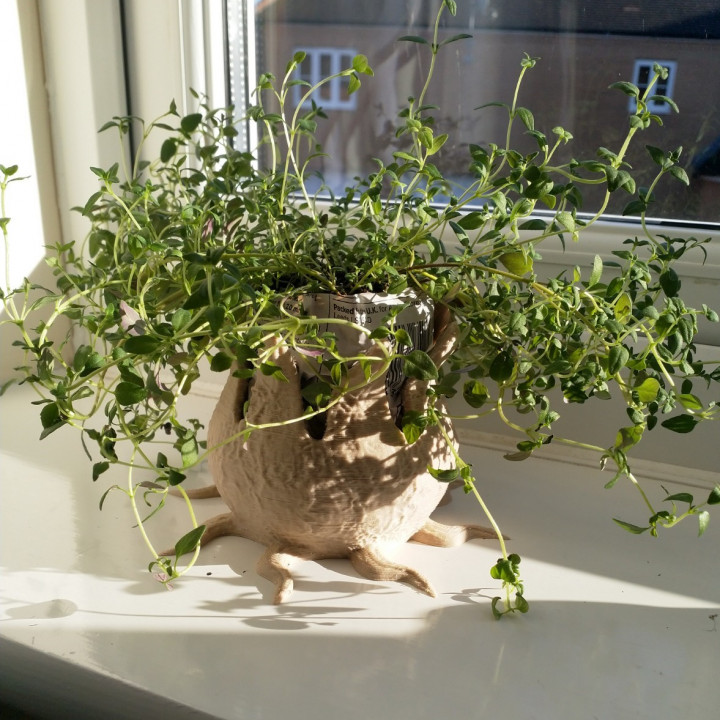 3D Printable Alien Flower Pot by BlueBoxGoblin