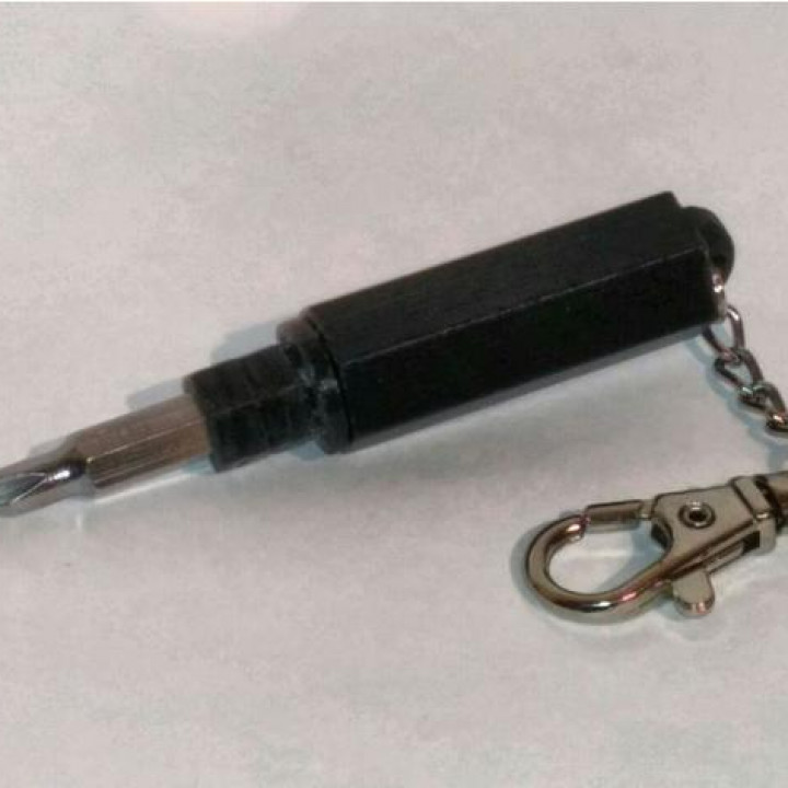 3D Printable Keychain Screwdriver by Leslie Wittig Quintanilla