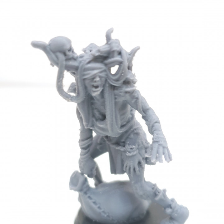 3D Printable Swamp Hag by Vae Victis Miniatures