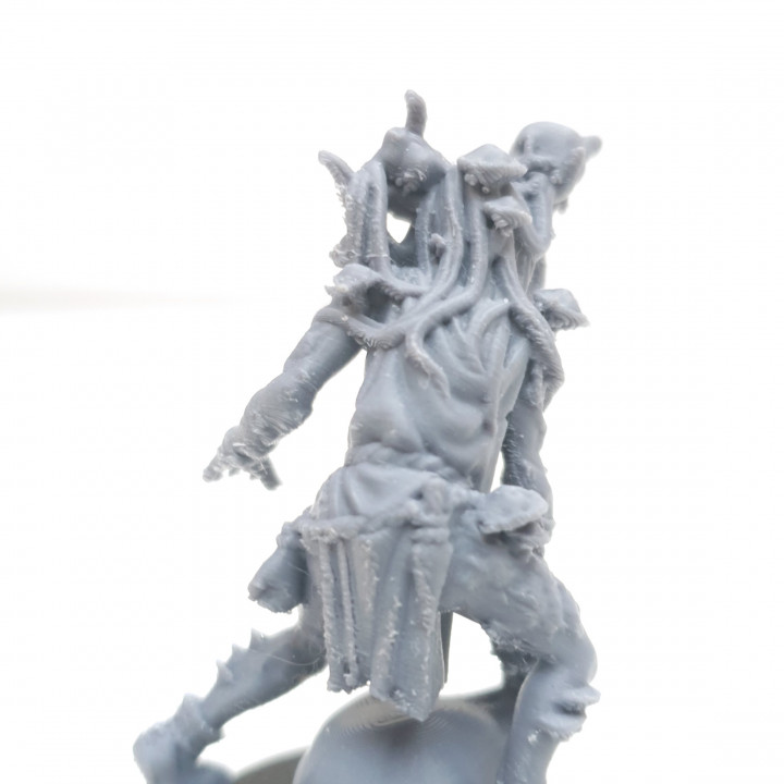 3D Printable Swamp Hag by Vae Victis Miniatures