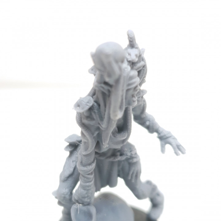 3D Printable Swamp Hag by Vae Victis Miniatures