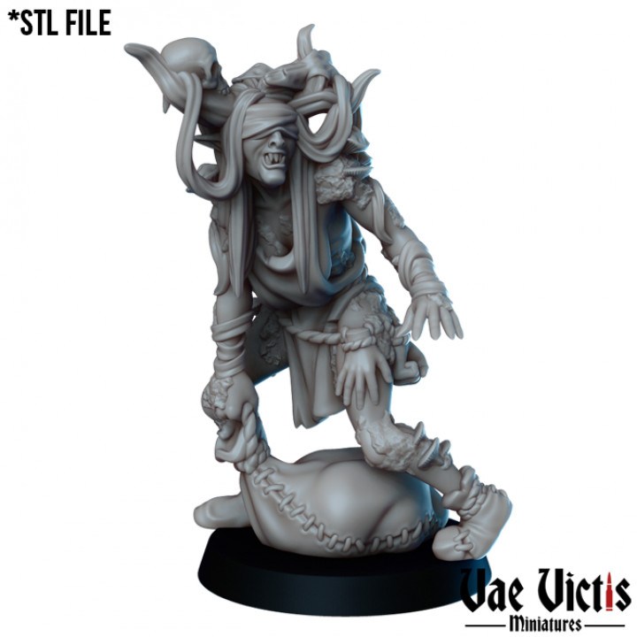 3D Printable Swamp Hag by Vae Victis Miniatures