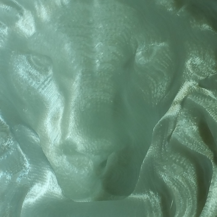 3D Printable Lion - 3D optical illusion by Roberto Colucci
