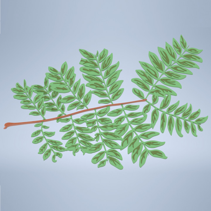 3D Printable Pinnate Leaf Branch by Rafael Cordeiro Vieira