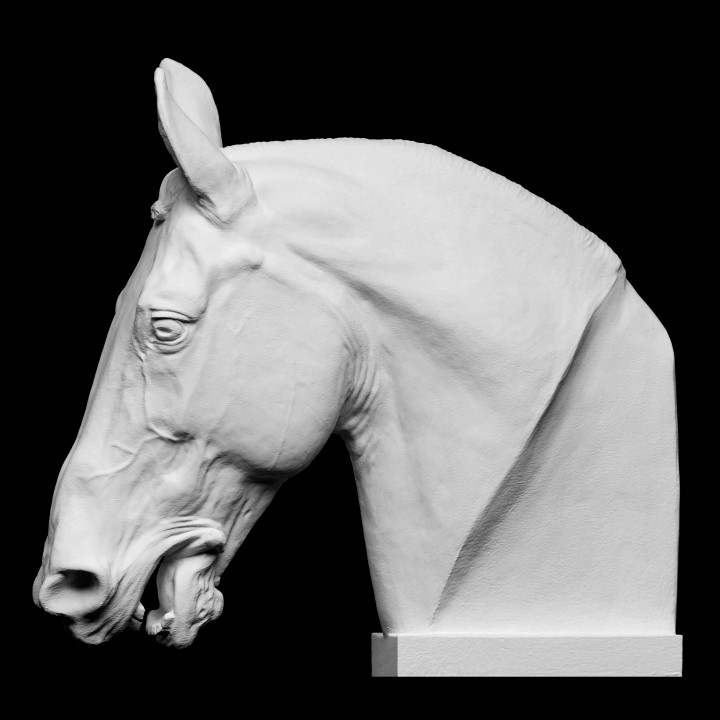 3D Printable Head of a Horse. Study for Equestrian Statue of Christian ...