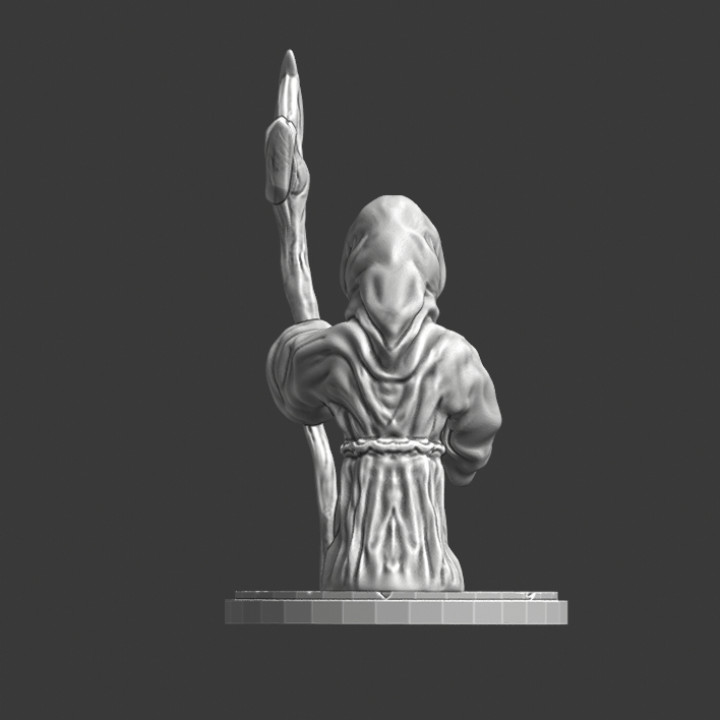 3D Printable Wizard (1) - 28mm miniature by BlueBoxGoblin