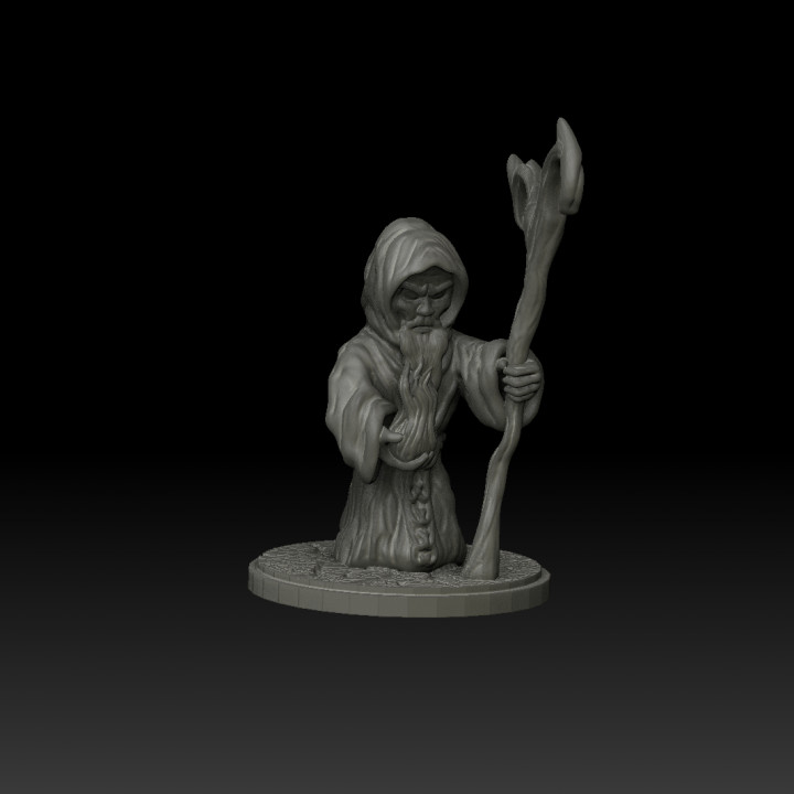 3D Printable Wizard (1) - 28mm miniature by BlueBoxGoblin