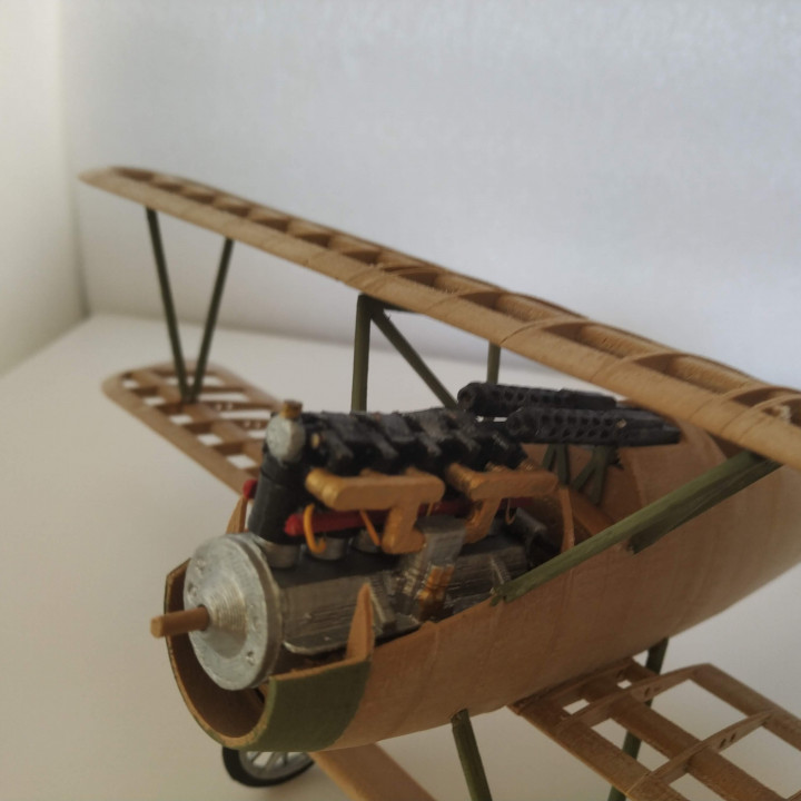 3D Printable albatros D.Va (complete version) by Jesus Alberto Mendoza ...