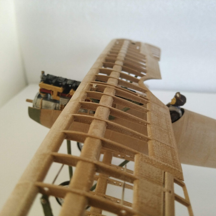 3D Printable albatros D.Va (complete version) by Jesus Alberto Mendoza ...