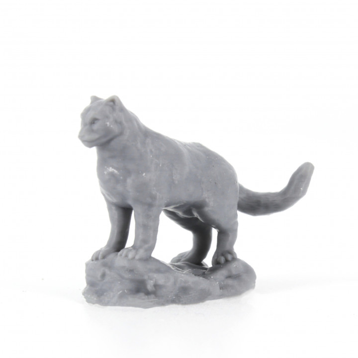 3D Printable Snow leopard by The Printing Goes Ever On