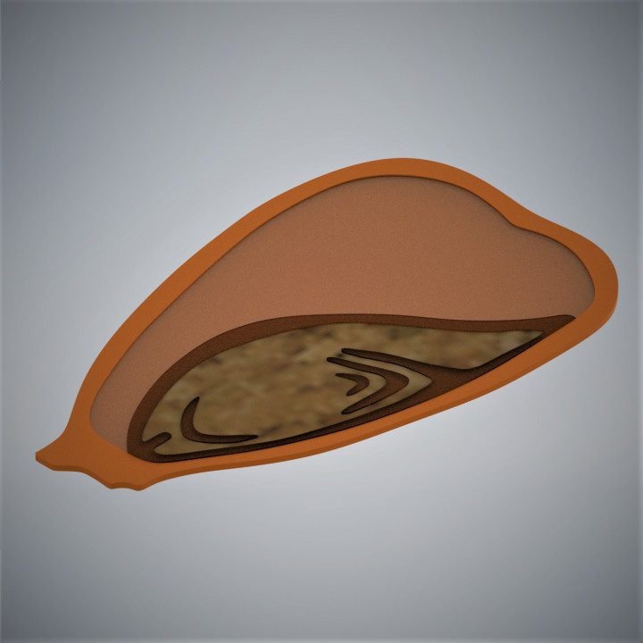 3D Printable One Cotyledon - Monocot by Rafael Cordeiro Vieira