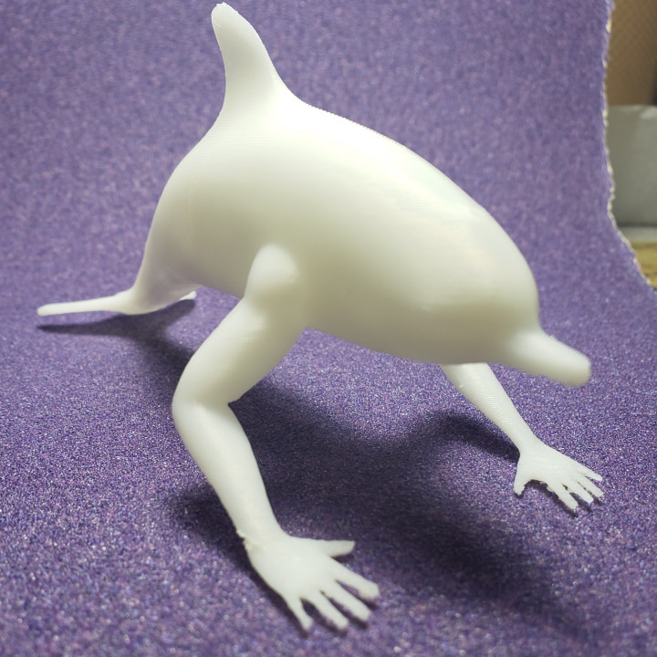 3D Printable Creepin Dolphin by DerpFish
