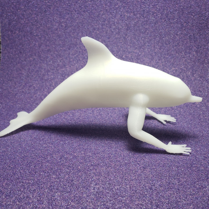 3D Printable Creepin Dolphin by DerpFish