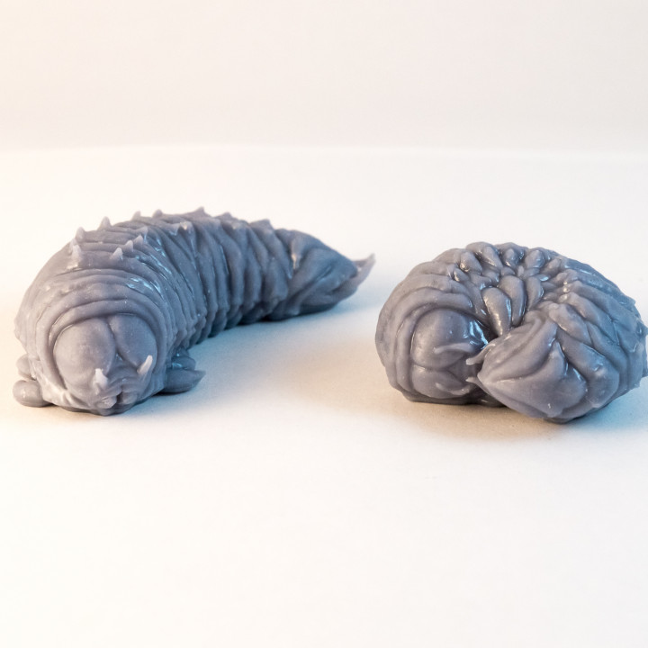 3D Printable Giant Larvae - DnD Character - 2 Poses by DCA Tabletop
