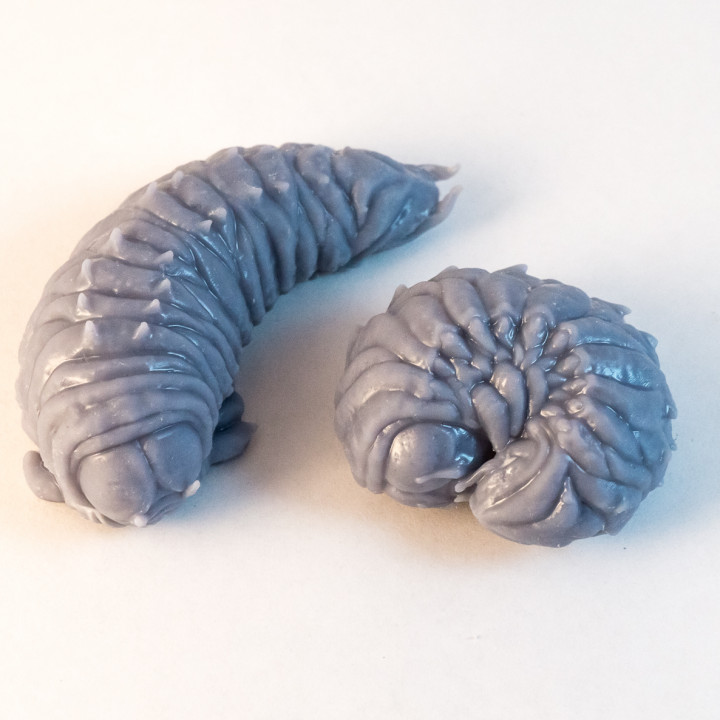 3D Printable Giant Larvae - DnD Character - 2 Poses by DCA Tabletop