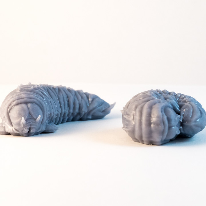3D Printable Giant Larvae - DnD Character - 2 Poses by DCA Tabletop