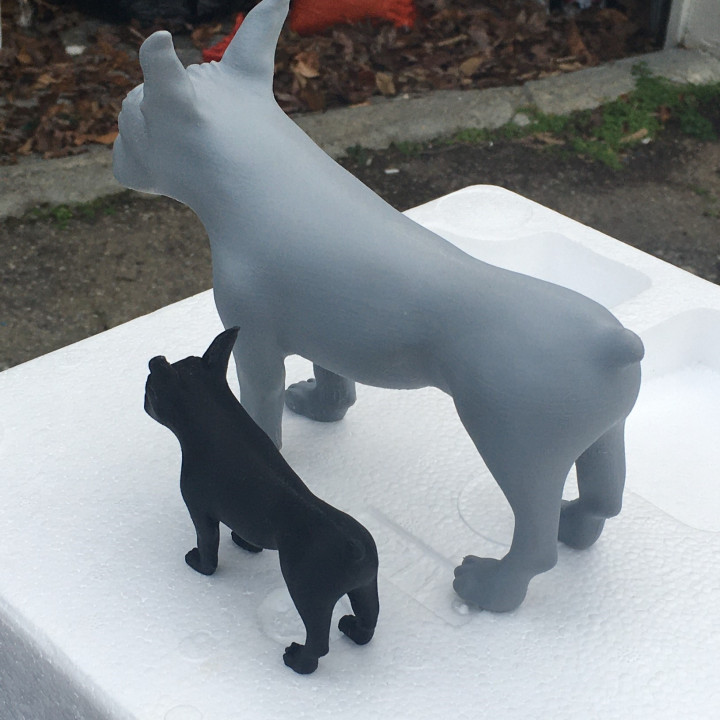 3D Printable Boston Terrier by ArcLight3d