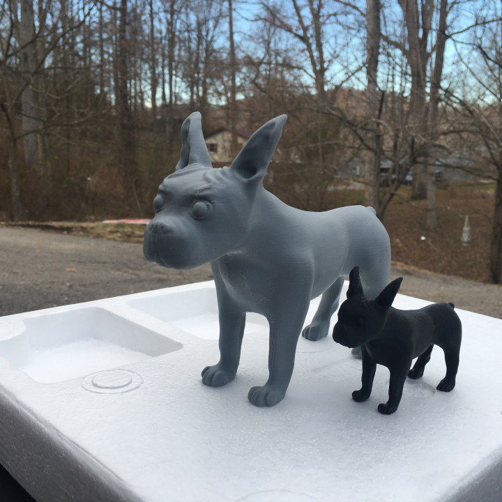 3D Printable Boston Terrier by ArcLight3d