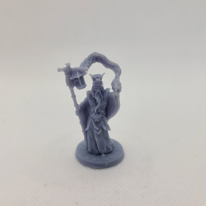 3D Print of Senin Hi - Fire Mage - Dragon Empire - Titan Forge ...