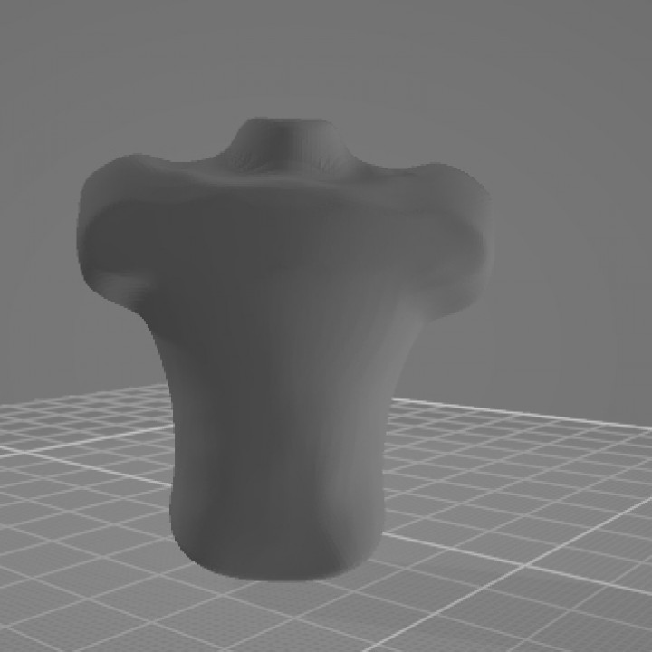 3D Printable torso by isaac