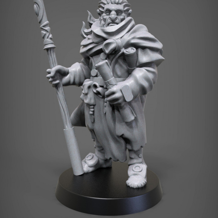 3D Printable Hobgoblin Wizard by Fabio Rizzo