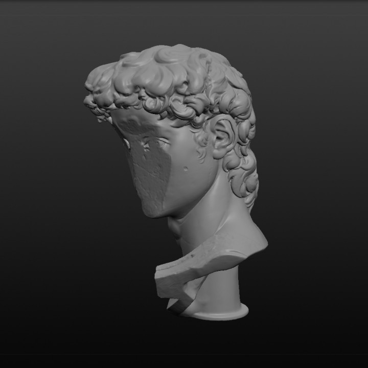 3D Printable Faceless David bust by Carl Östlund