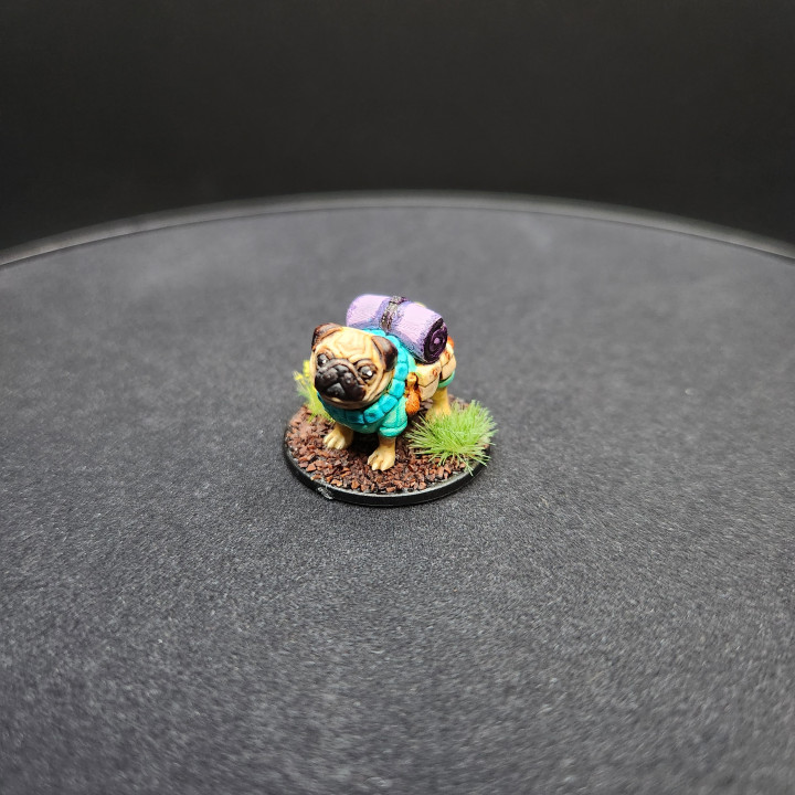 3D Print of Pack Pug by Nazgar
