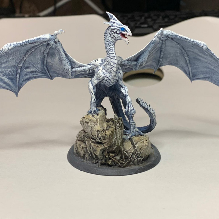3D Print of Young White Dragon by Wilburrobert