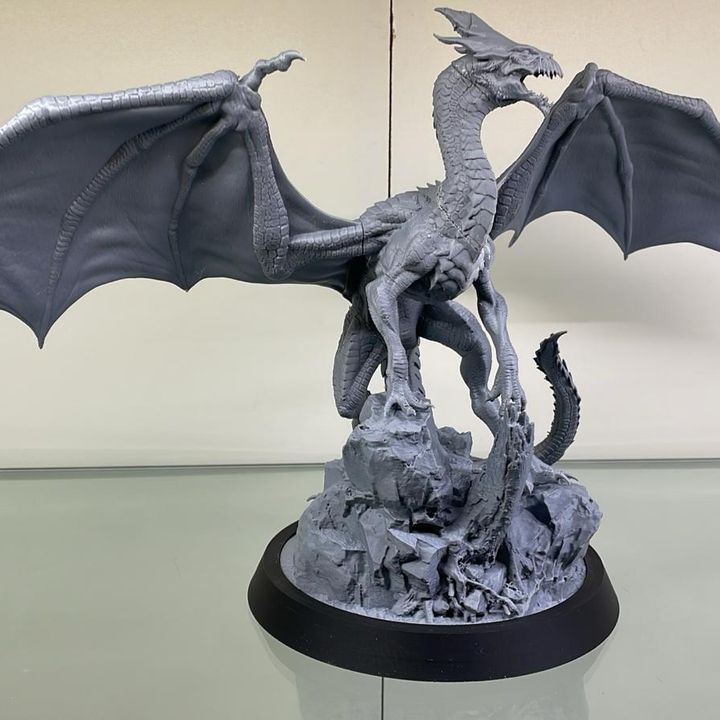 3D Print of Young White Dragon by sanderboth
