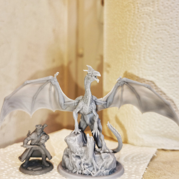 3D Print of Young White Dragon by sebiprotagonist
