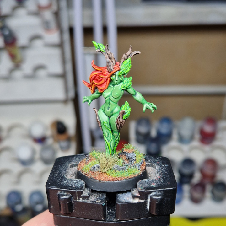 3D Print of Aidreth Treeborn - Deepwood Alfar (Fantasy Pin-Up) by ...