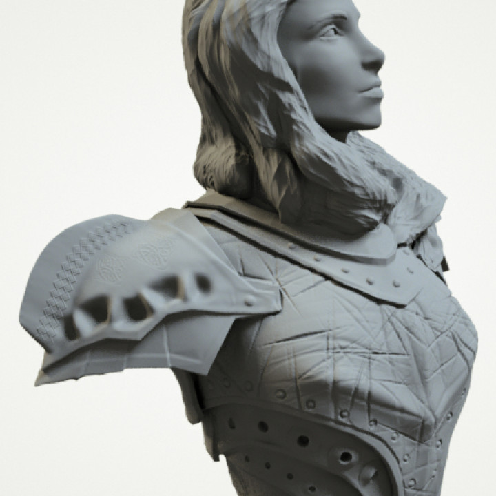 3D Printable Female knight bust by LegionMiniatures