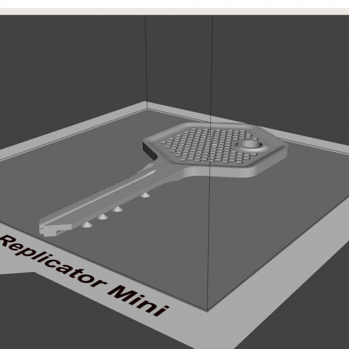 3D Printable Plastic Equipment Key by oTTeuM sTudio