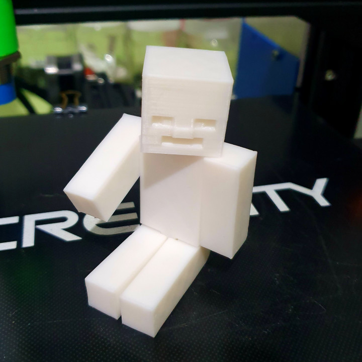 3D Printable Minecraft Steve with articulated arms, legs and head by Taff H