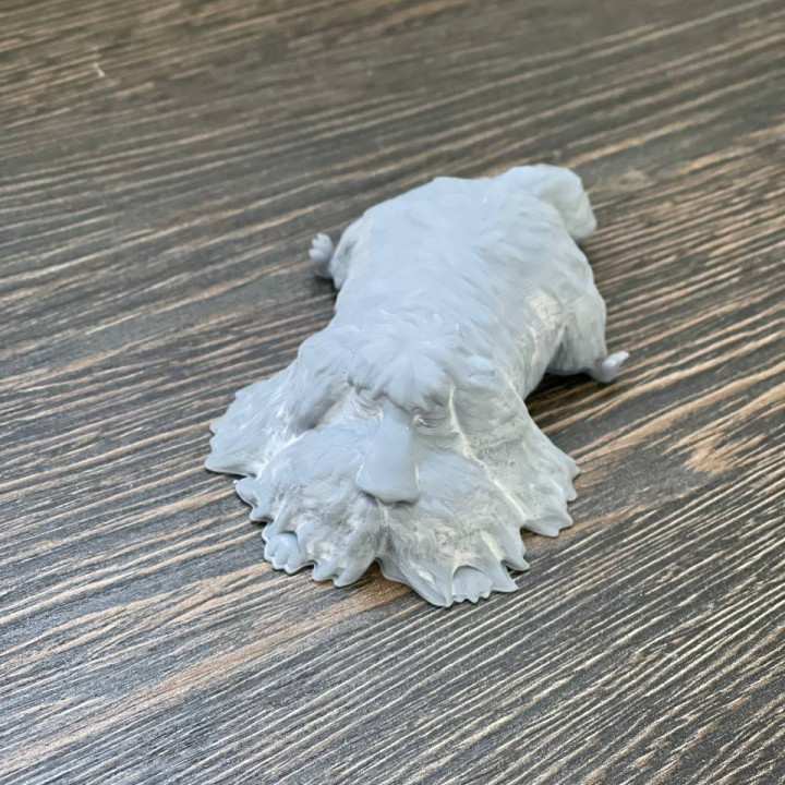 3D Print of Heen(Howl's Moving Castle) by BostonLeeK