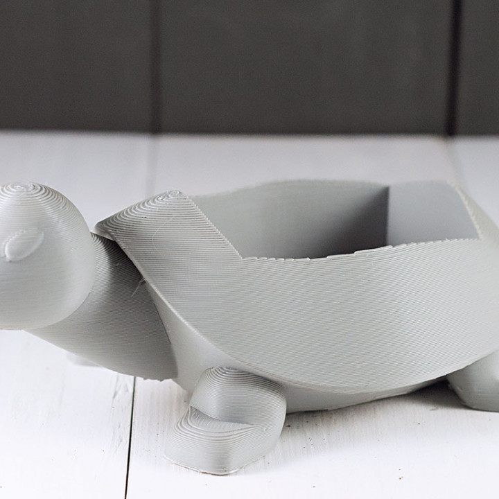 3D Printable Turtle Planter by Nathan
